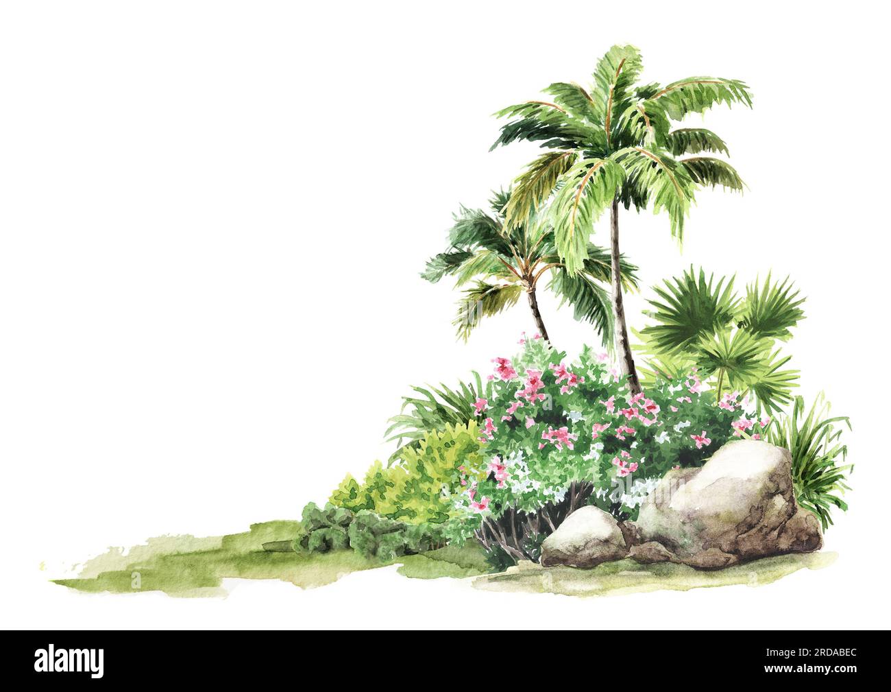 Tropical plants composition. Landscape design element. Hand drawn ...