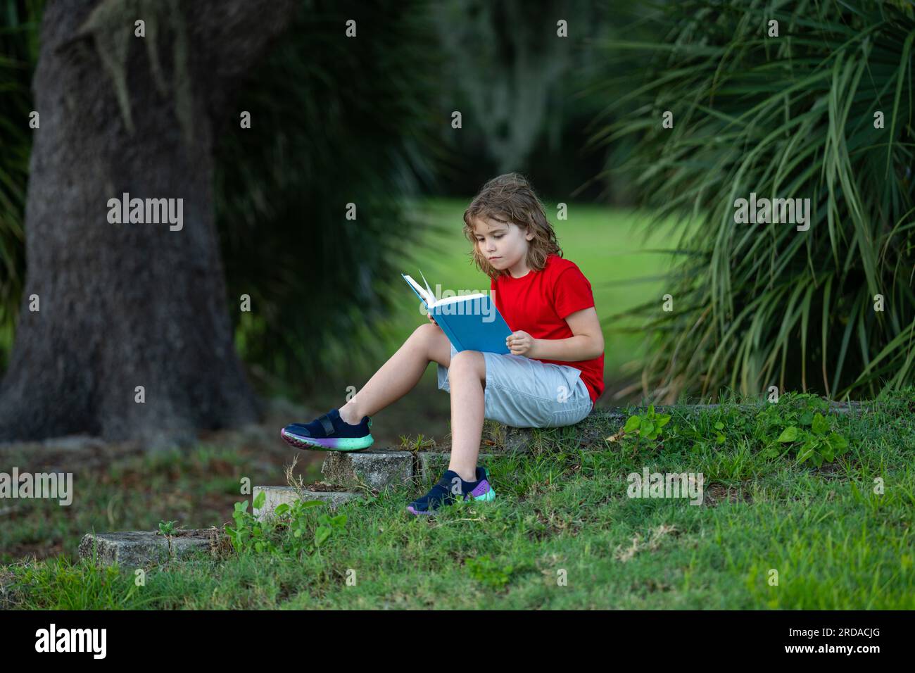 Kid read a book. Early education for kids. Summer vacation with reading ...