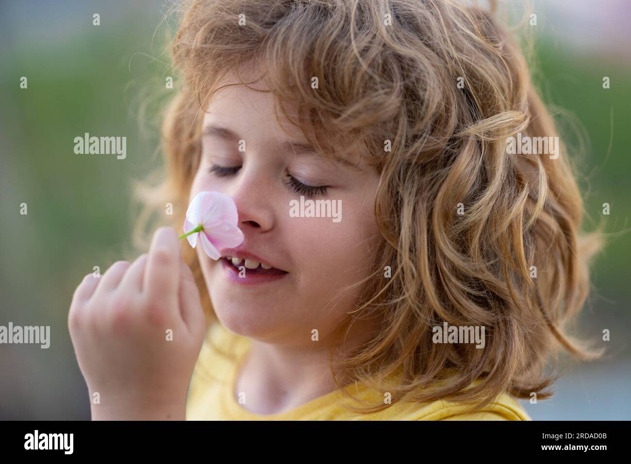 Kids smelling summer flower, closeup face. Funny summer, child face ...