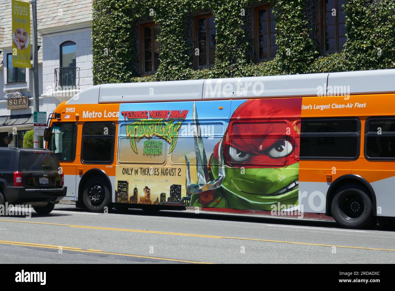 West Hollywood, California, USA 19th July 2023 Teenage Mutant Ninja ...
