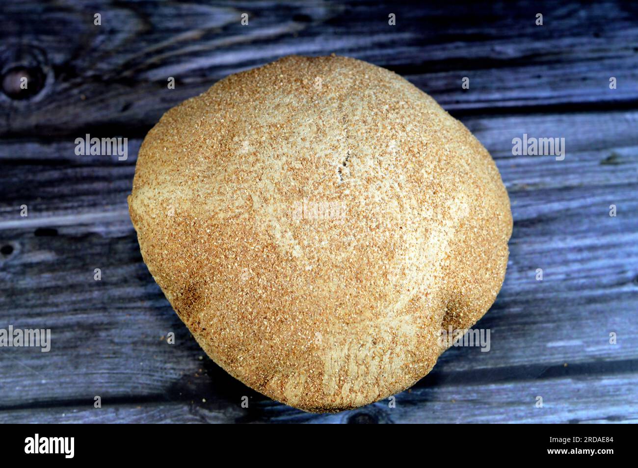 Egyptian brown bran thin crispbread bread, puff thin, crispy and ...