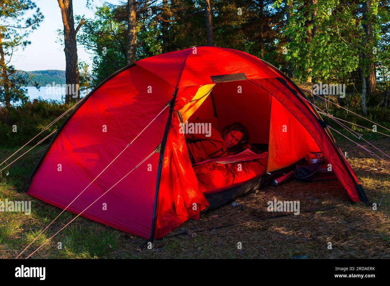 A woman reading a map in the summer, inside her red tent nestled ...