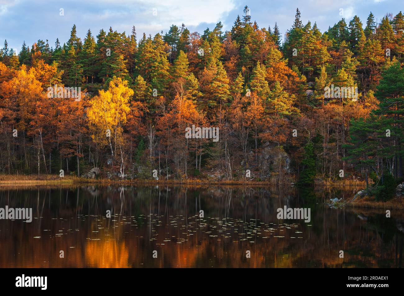 Still peaceful calm lake hi-res stock photography and images - Alamy