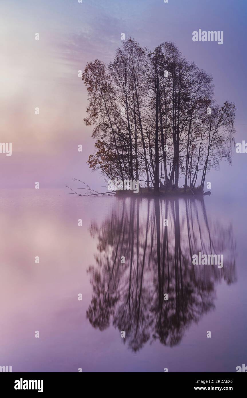 Trees on island on still and misty lake Stock Photo - Alamy