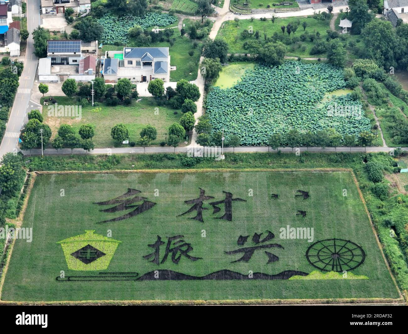 Aerial photo shows the paddy field art in Maji Town, Yizheng City, east ...