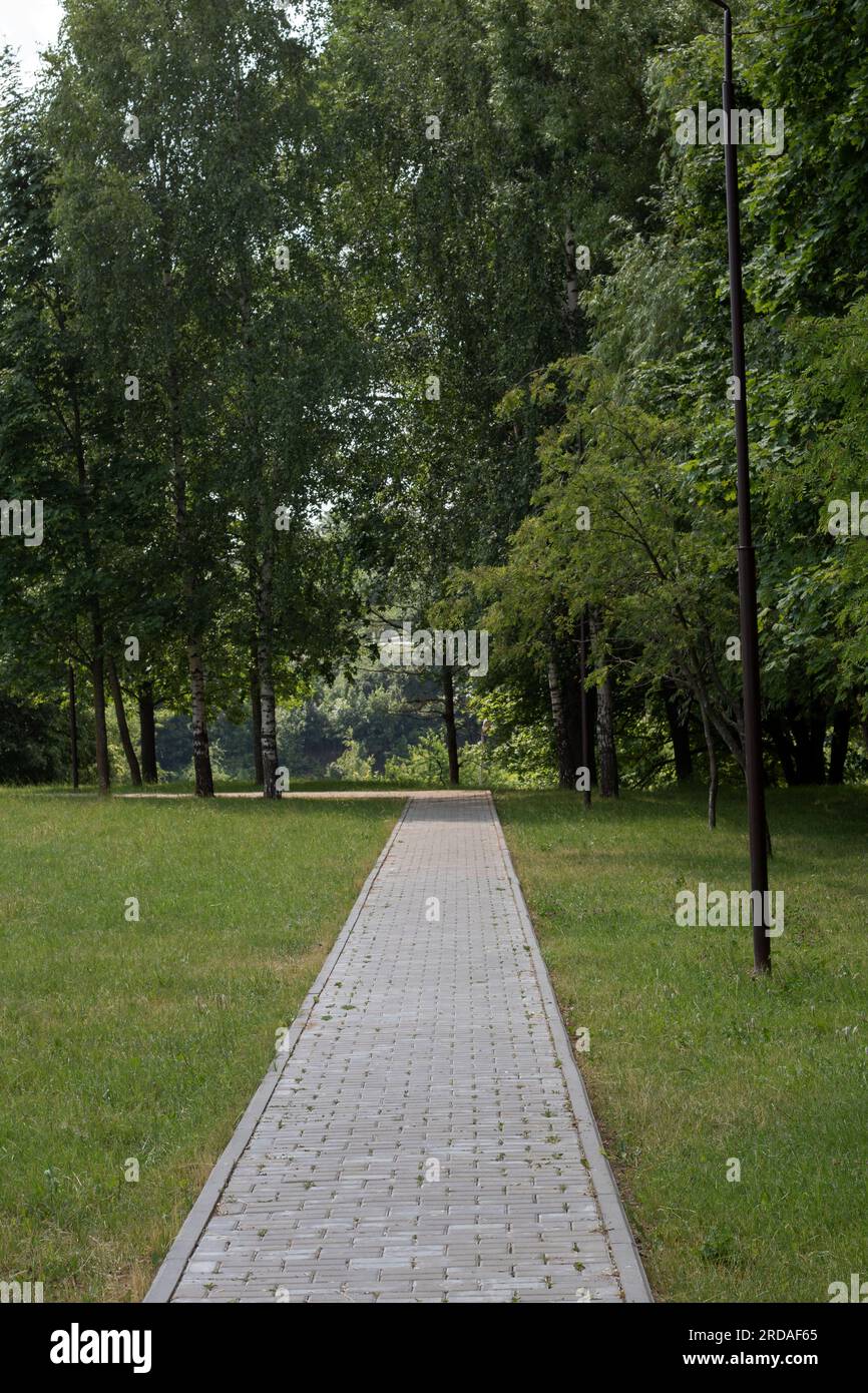 photo an empty walking trail in a park with trees Stock Photo - Alamy