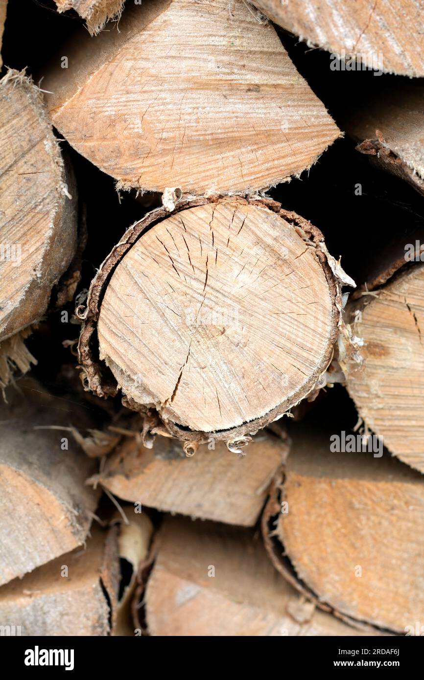 Firewood close hi-res stock photography and images - Alamy