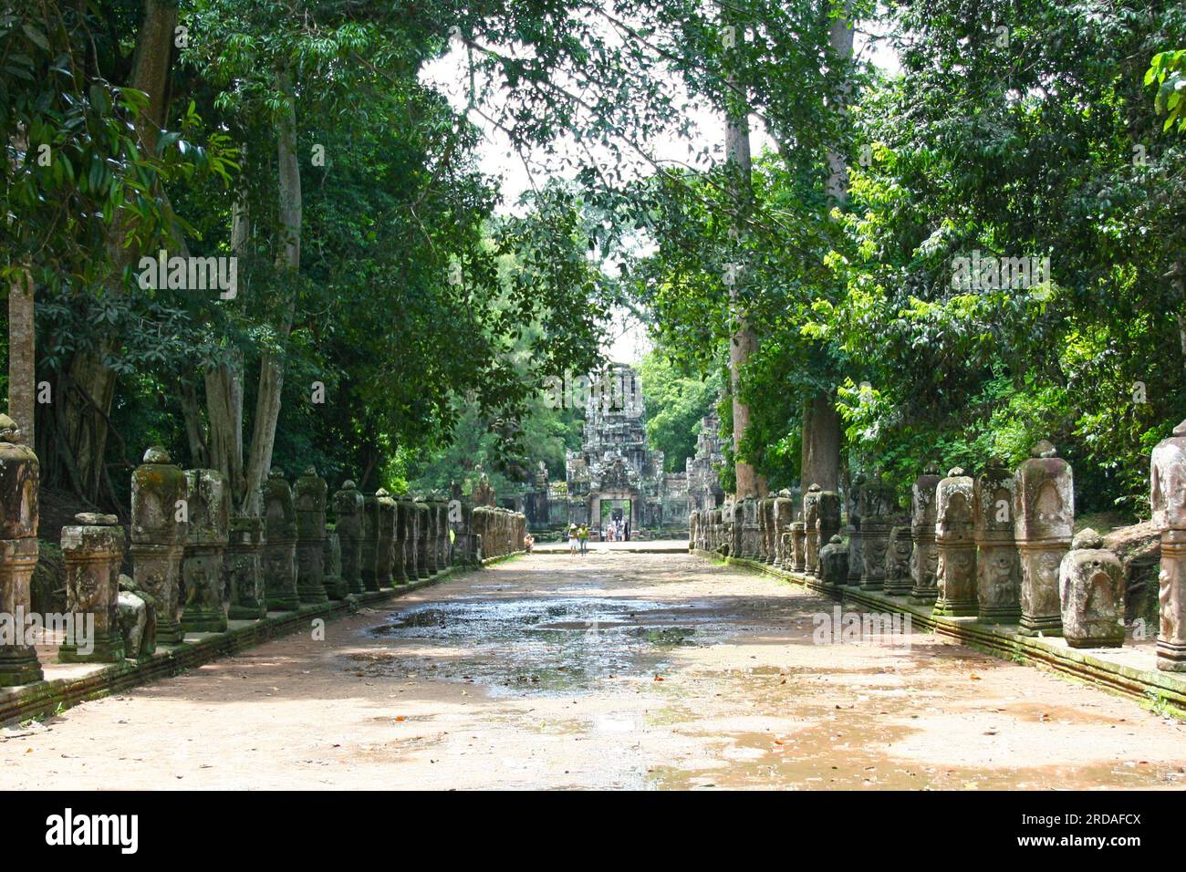 Preah Khan (Khmer: ប្រាសាទព្រះខ័ន; "Royal Sword") is a temple at Angkor ...