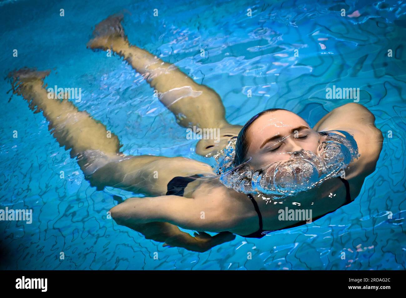 1m springboard women final hi-res stock photography and images - Alamy