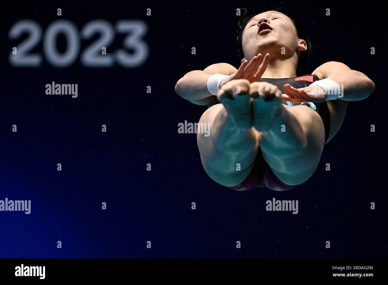 1m springboard women final hi-res stock photography and images - Alamy