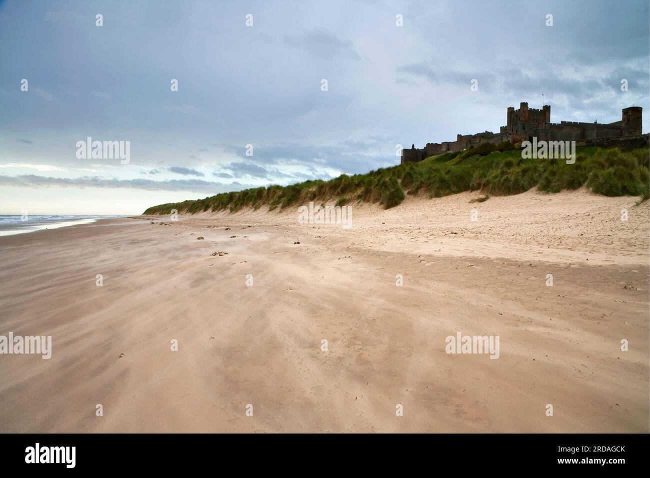 beach at budle bay near bamburgh castle on the northumberland coast ...