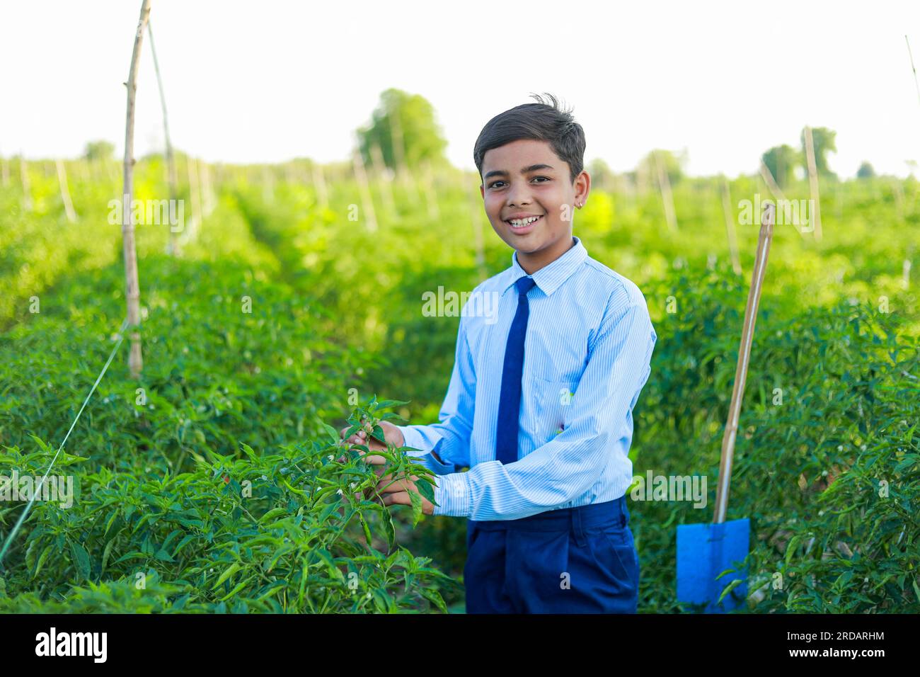 Indian school kids working in farm, happy farmer Stock Photo - Alamy