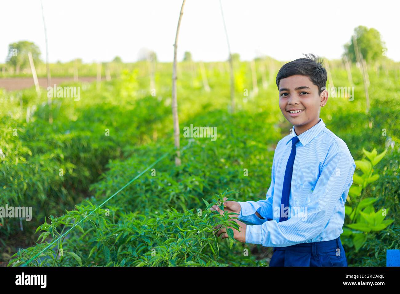 Indian school kids working in farm, happy farmer Stock Photo - Alamy