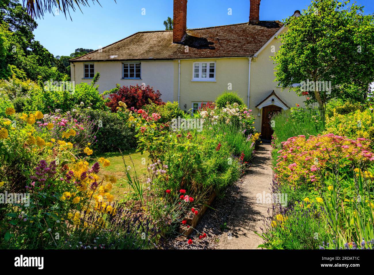 A traditional and colourful cottage garden in Dunster, Somerset ...