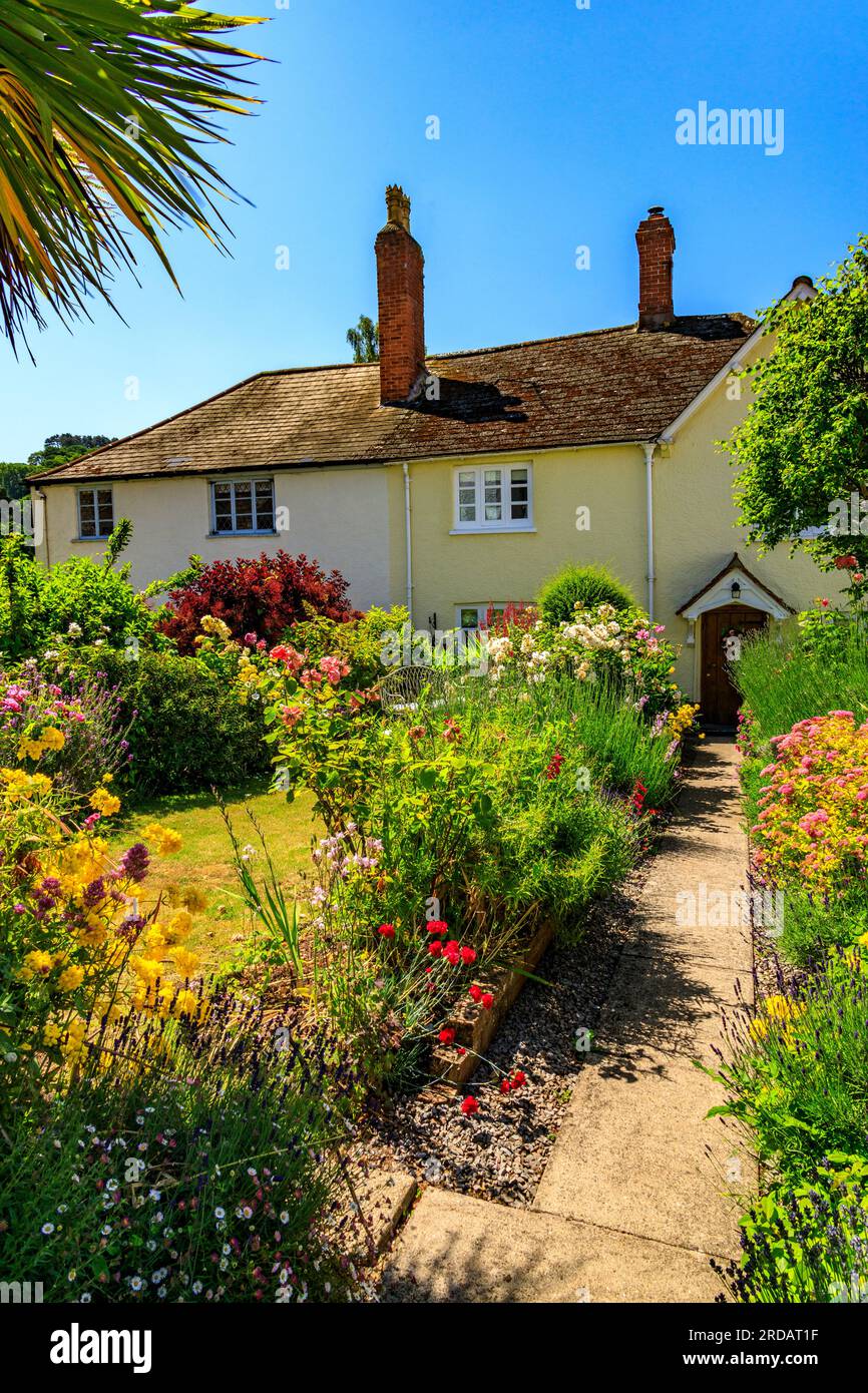 A traditional and colourful cottage garden in Dunster, Somerset ...