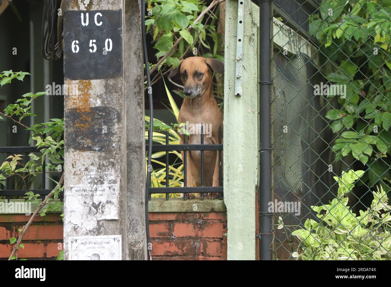 Im waiting for my master hi-res stock photography and images - Alamy