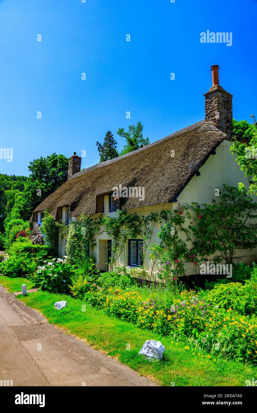 A traditional thatched cottage with a colourful garden in Dunster ...