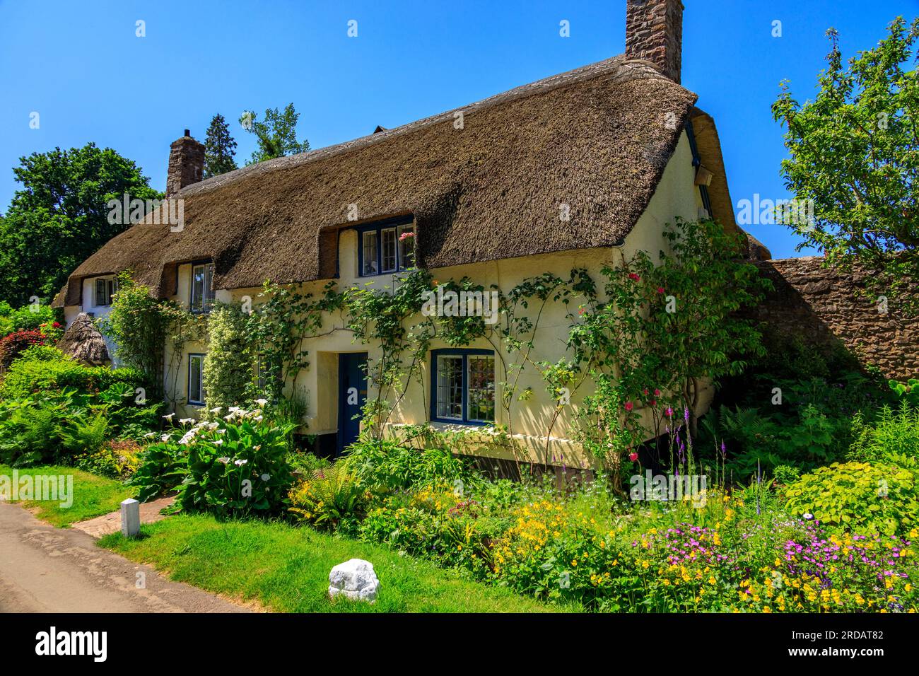 A traditional thatched cottage with a colourful garden in Dunster ...