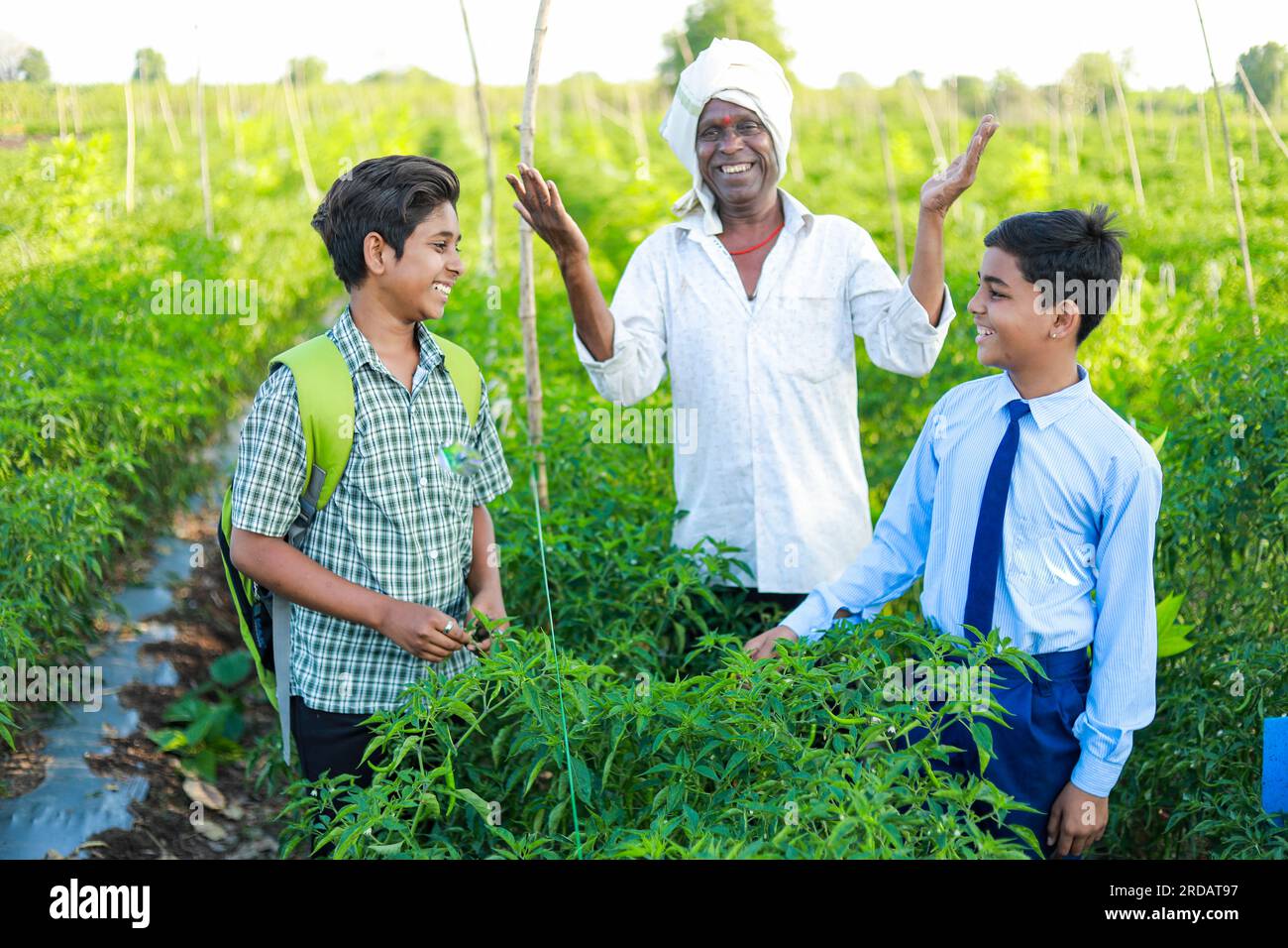 Indian three people standing in farm, farmer and his two son in farm ...