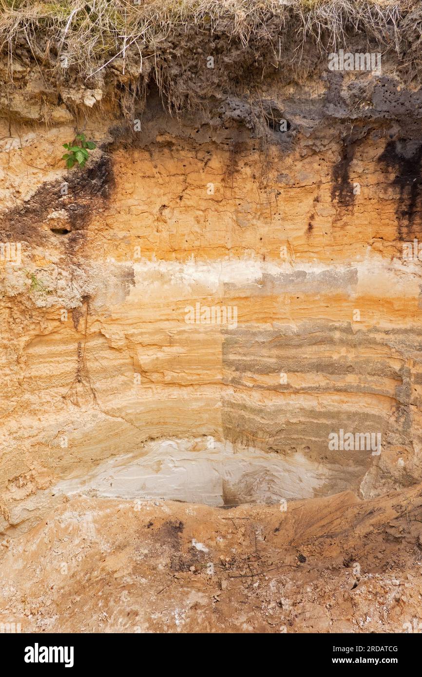 Alluvial Soil Profile