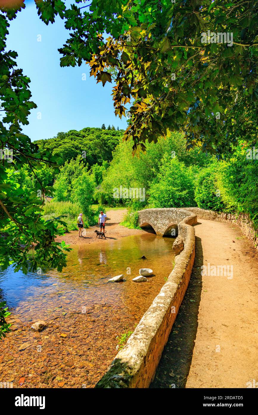 Dog walkers enjoying the placid River Avill at the former pack horse ...