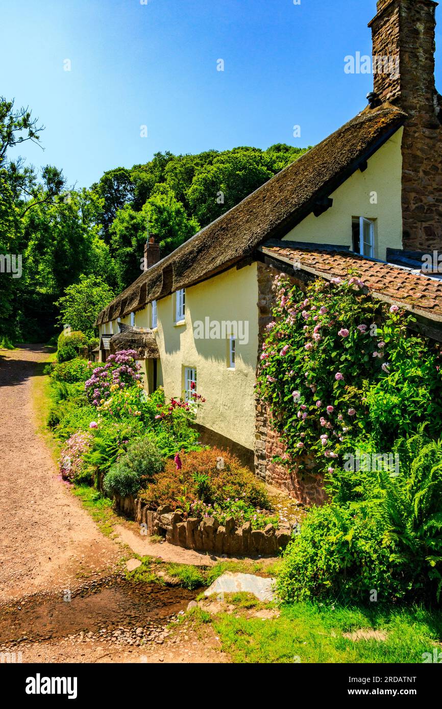 A row of traditional thatched cottages with colourful gardens in ...