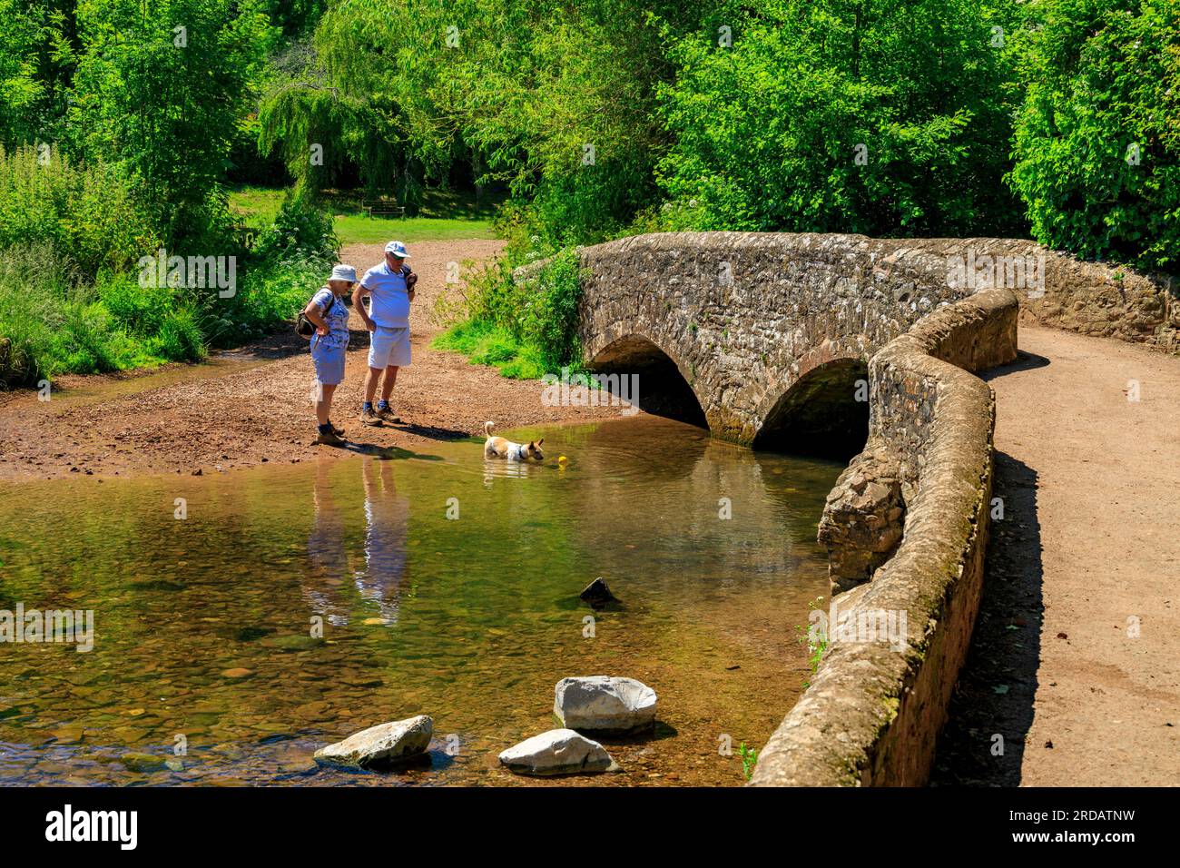 Dog walkers enjoying the placid River Avill at the former pack horse ...