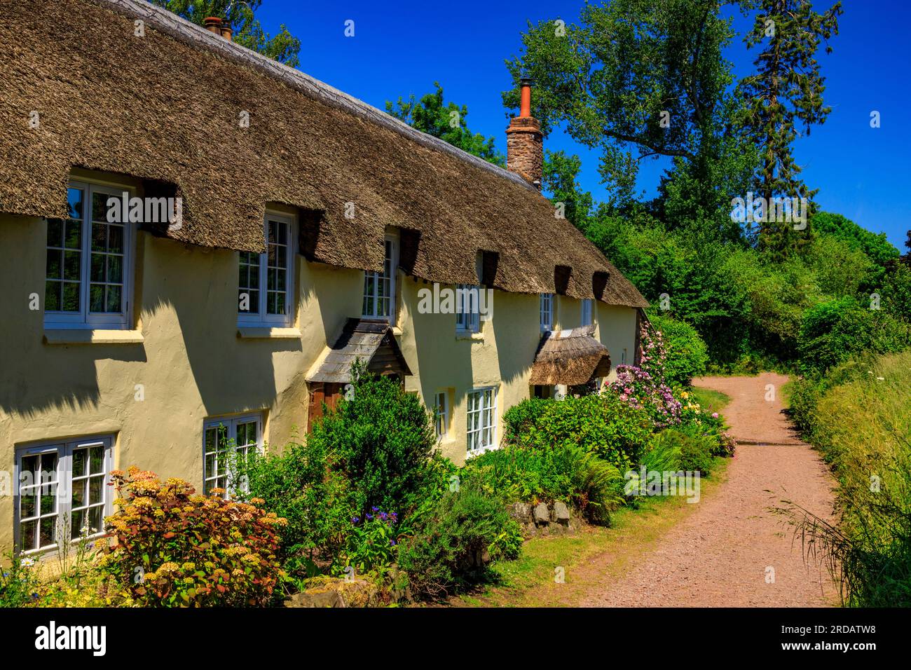 A row of traditional thatched cottages with colourful gardens in ...