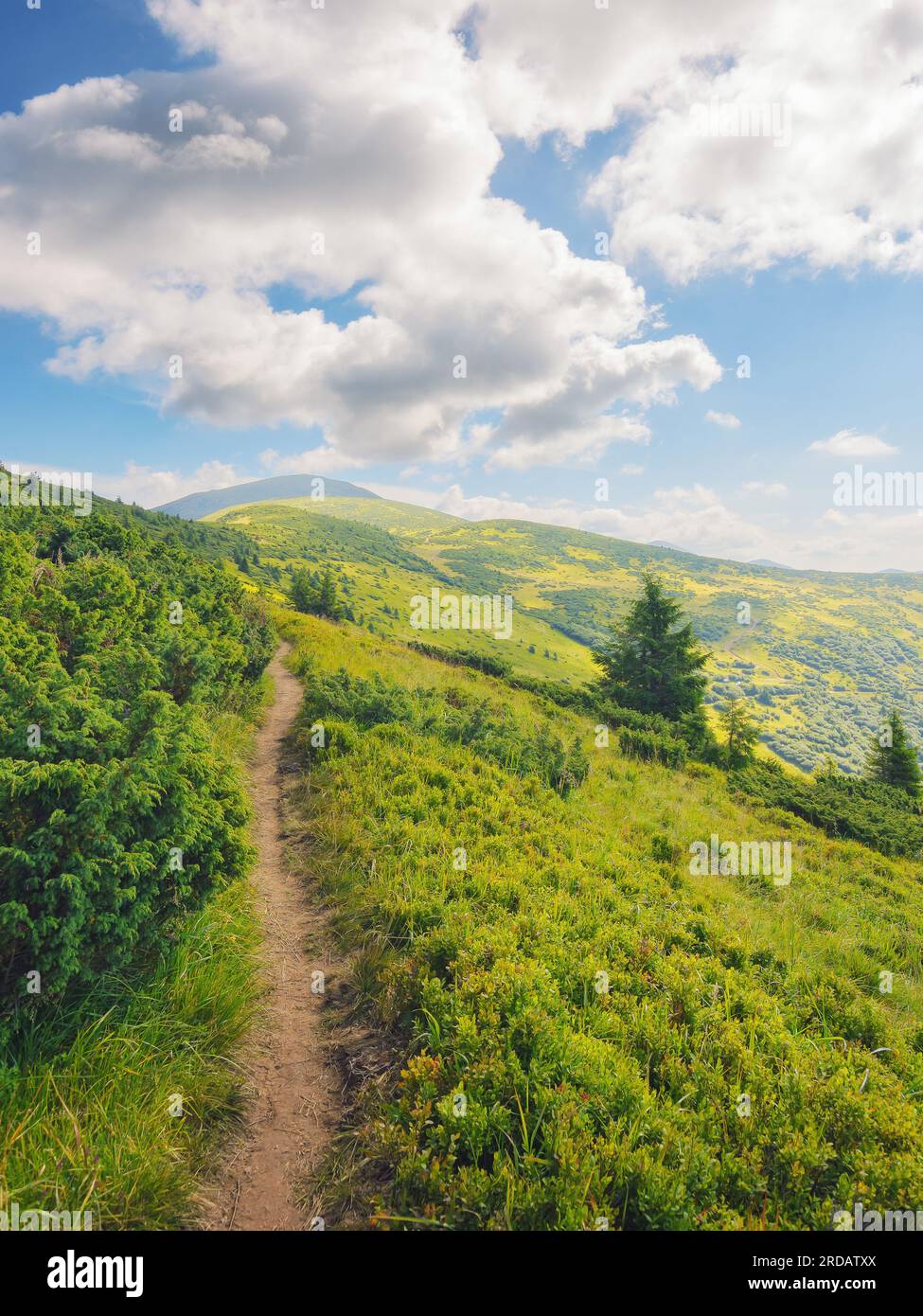 alpine travel destination of carpathian mountains. hillside of petros ...