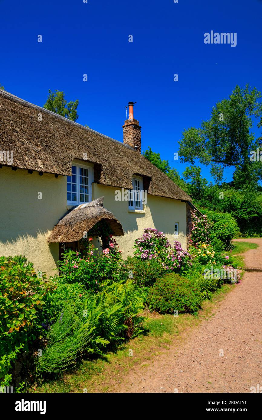 A row of traditional thatched cottages with colourful gardens in ...