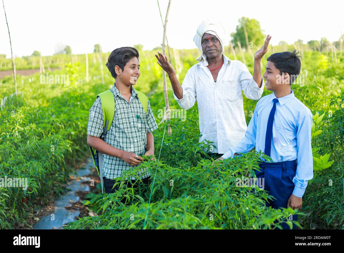 Indian three people standing in farm, farmer and his two son in farm ...