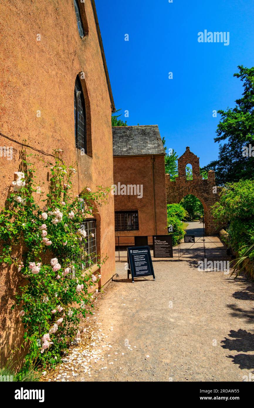 The entrance to the River Avill water mill at Dunster Castle, Somerset ...