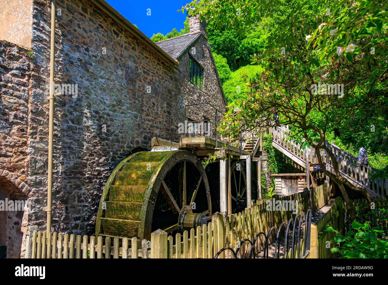 The River Avill water mill with a wooden mill wheel at Dunster Castle ...