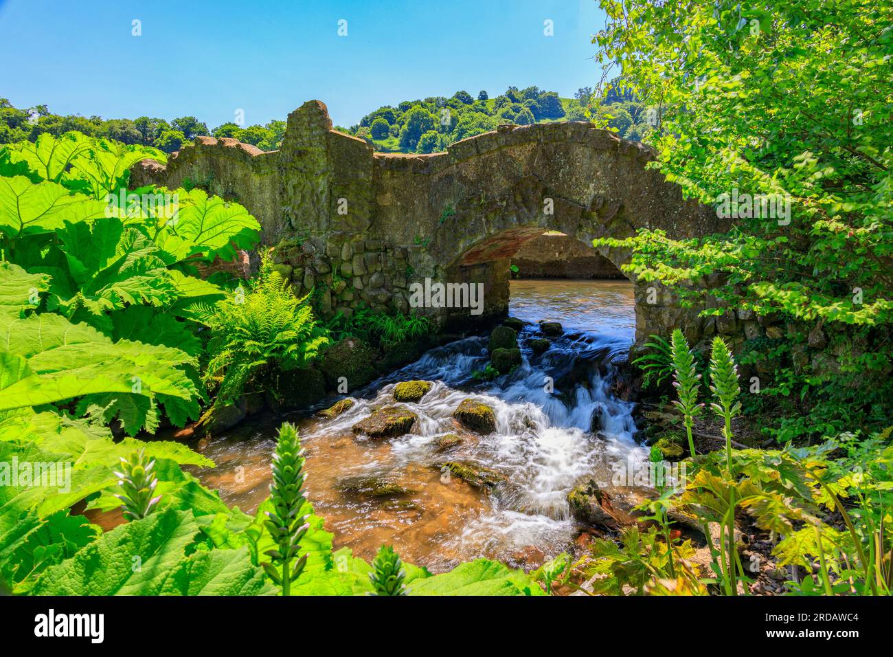 The Lover's Bridge over the River Avill at Dunster Castle, Somerset ...