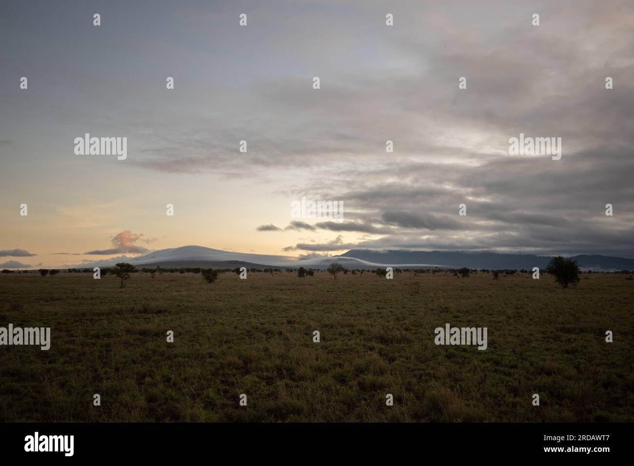 Beautiful sunset landscape in Africa, savanna taken on a safari ...
