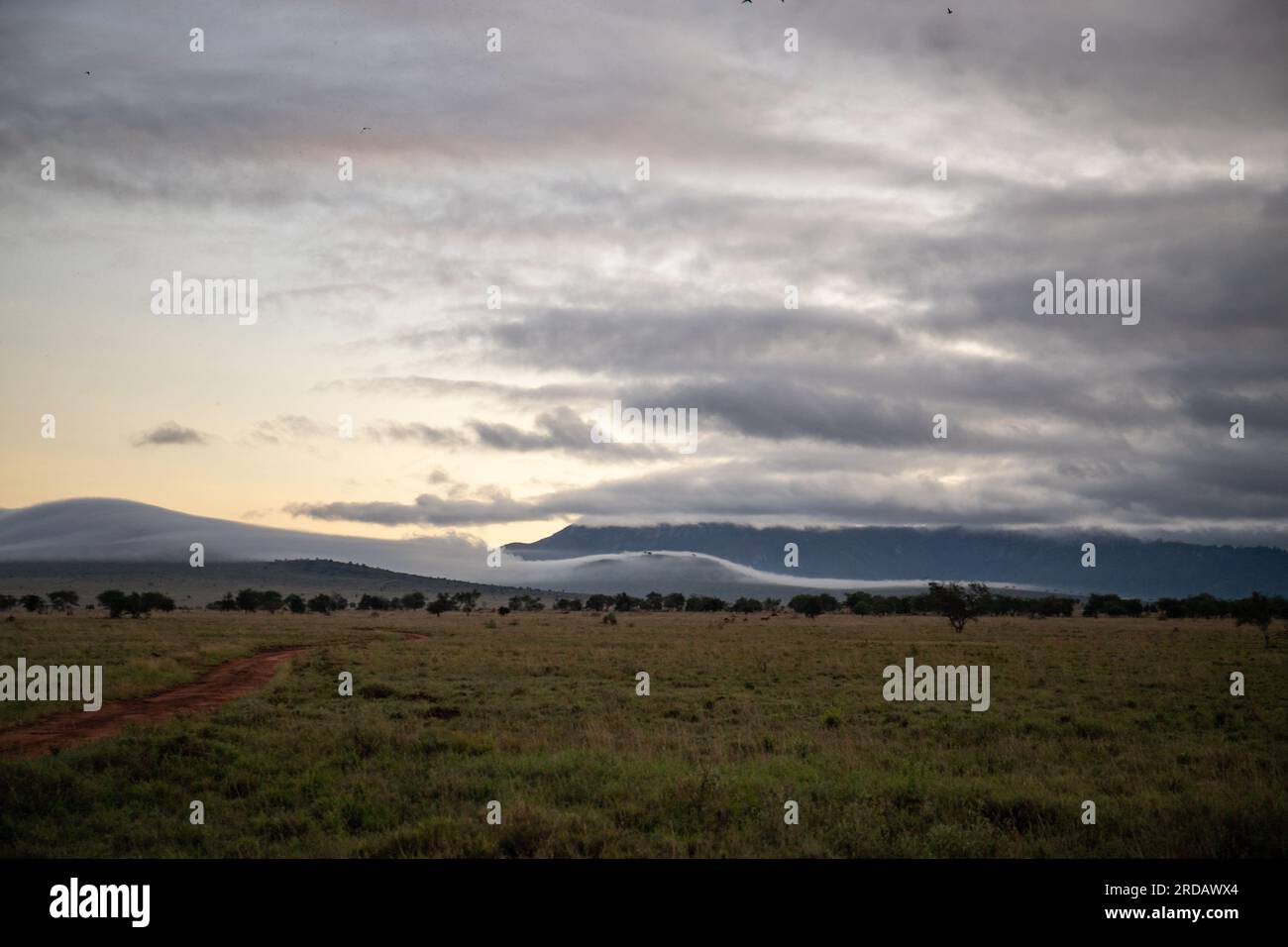 Beautiful sunset landscape in Africa, savanna taken on a safari ...