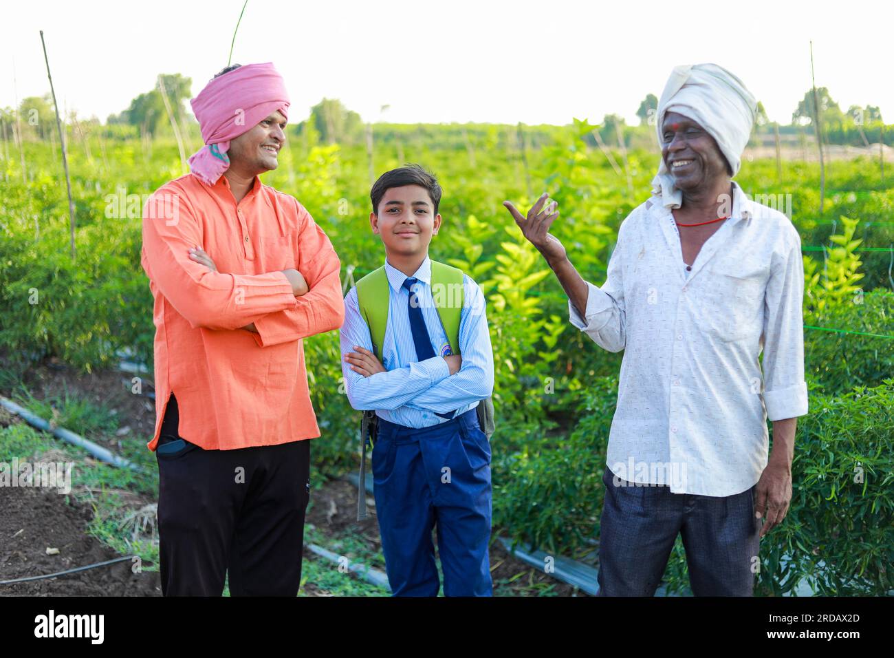 Indian three people standing in farm, farmer and his two son in farm ...