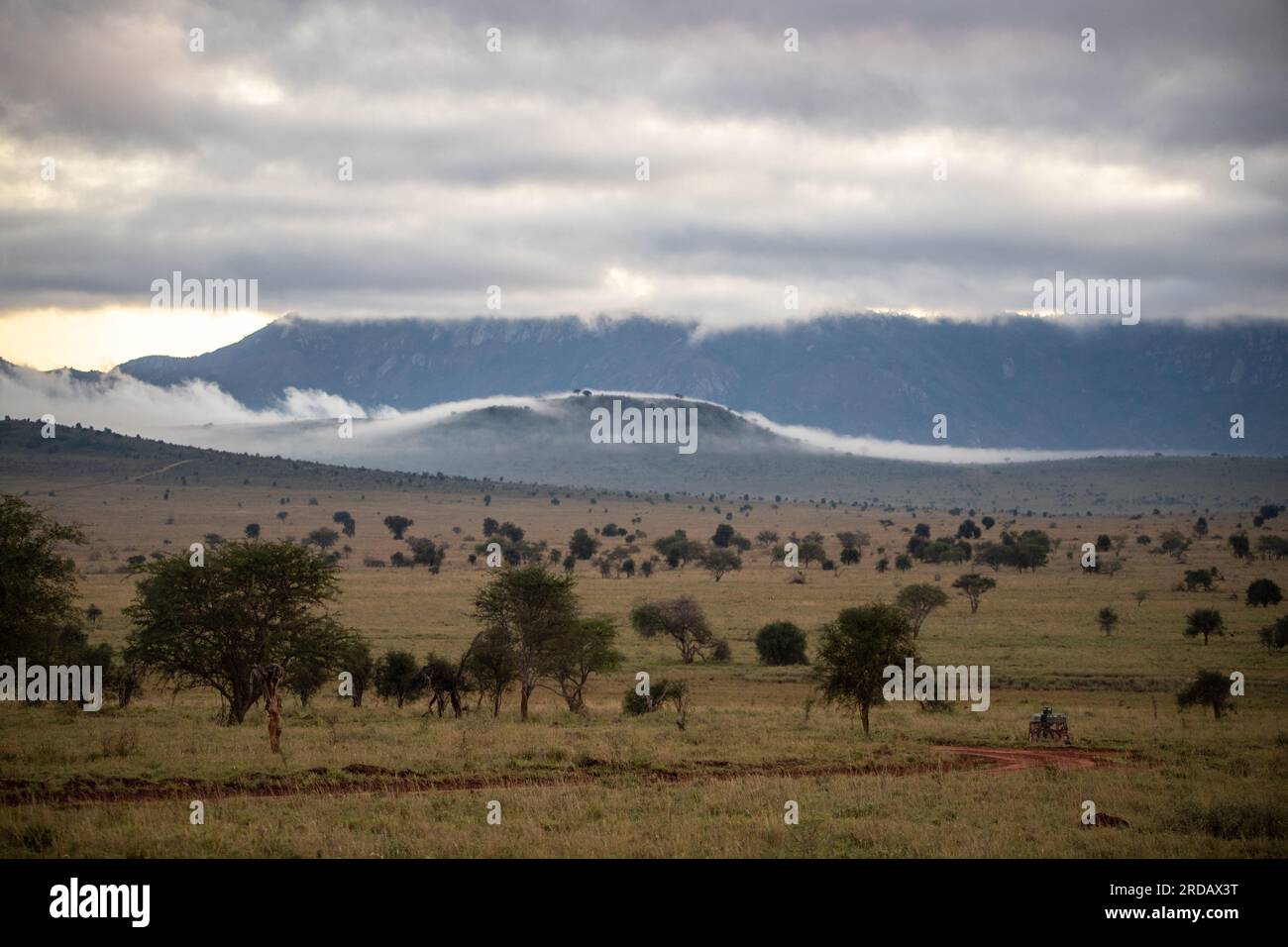 Beautiful sunset landscape in Africa, savanna taken on a safari ...