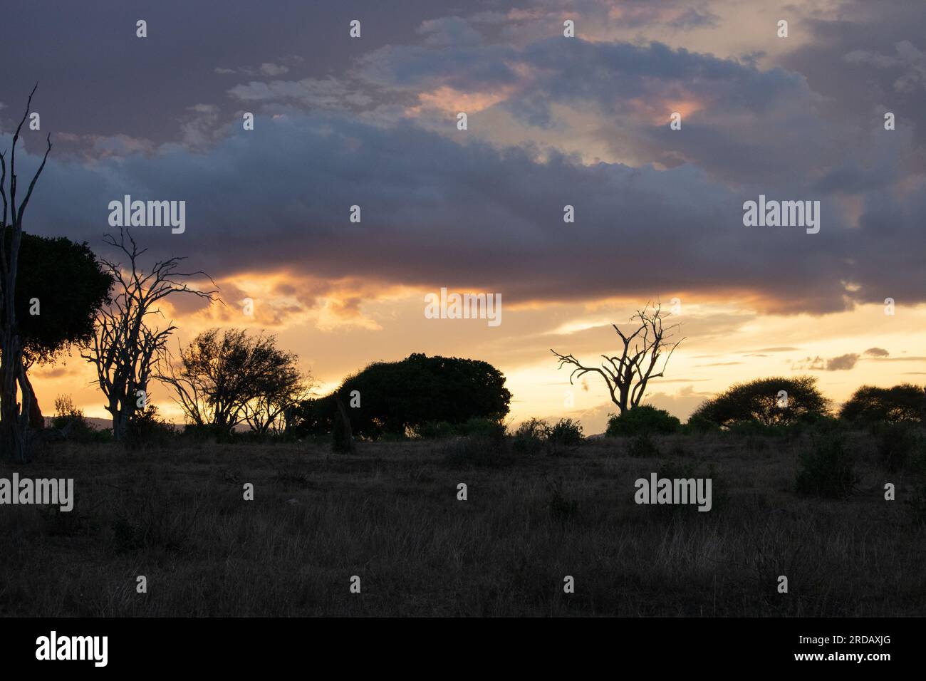 Beautiful sunset landscape in Africa, savanna taken on a safari ...