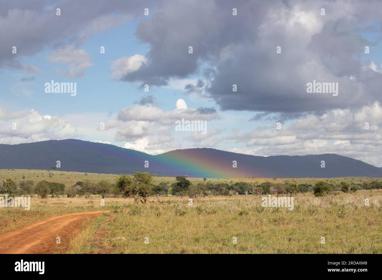 Beautiful sunset landscape in Africa, savanna taken on a safari ...