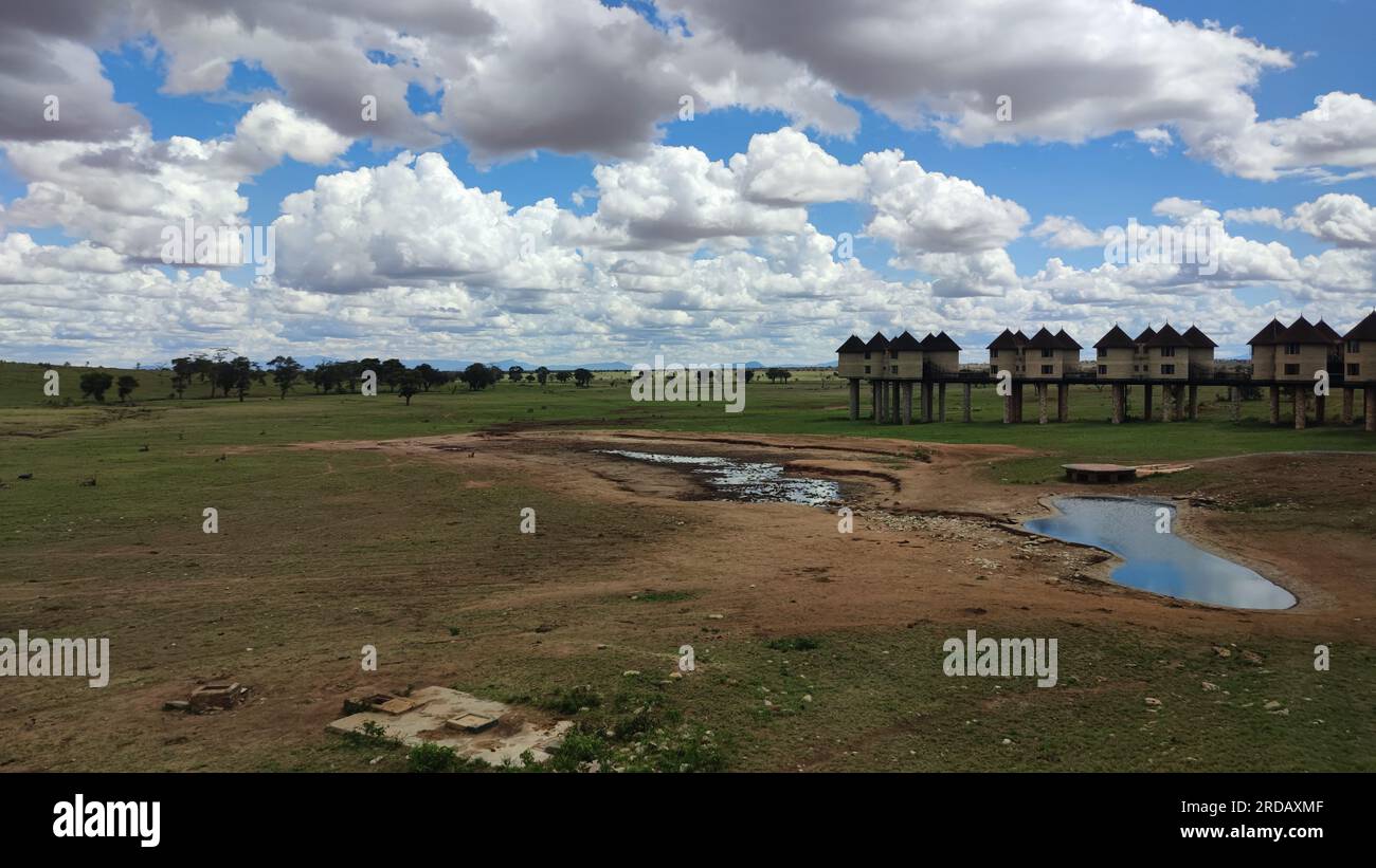 salt lick safari lodge in the taita hills kenya. Beautiful lodge on a ...