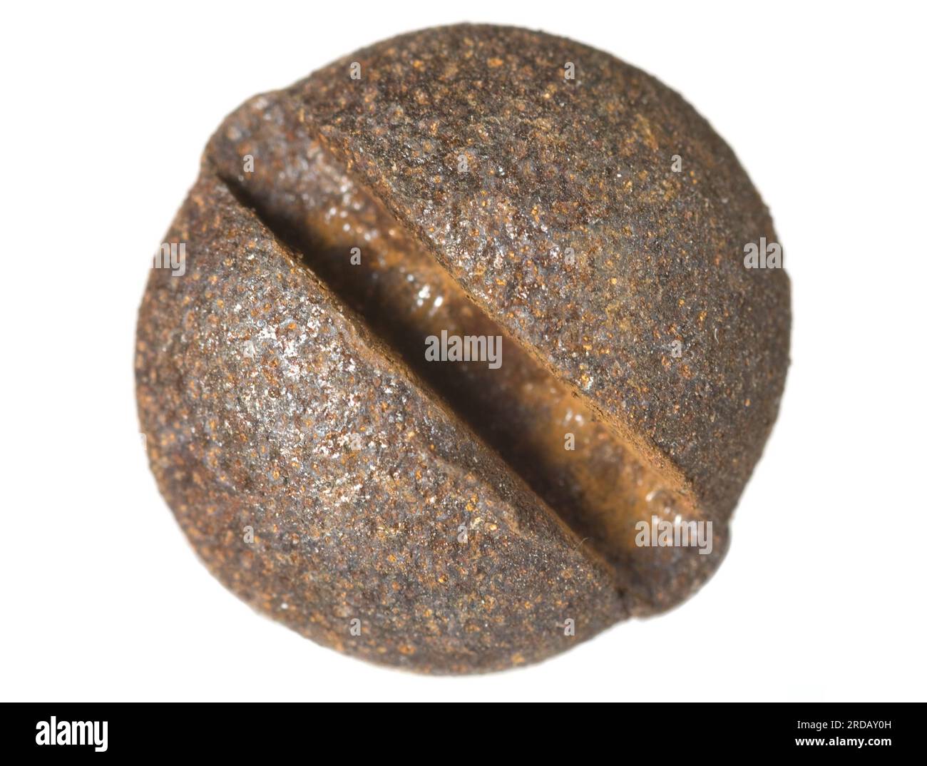 bolt head on white Stock Photo - Alamy