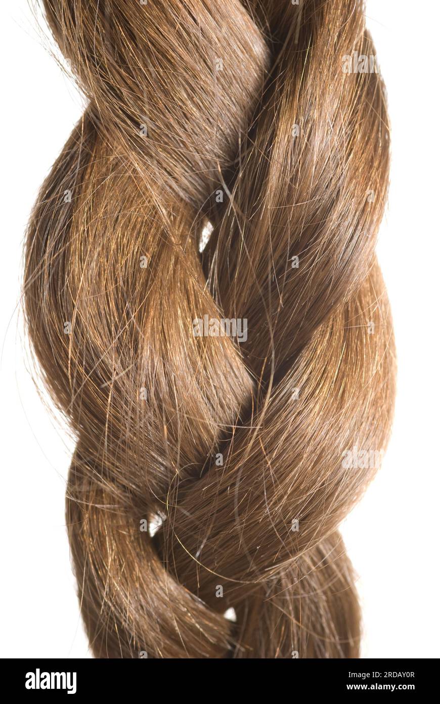 Female plait part on white Stock Photo - Alamy