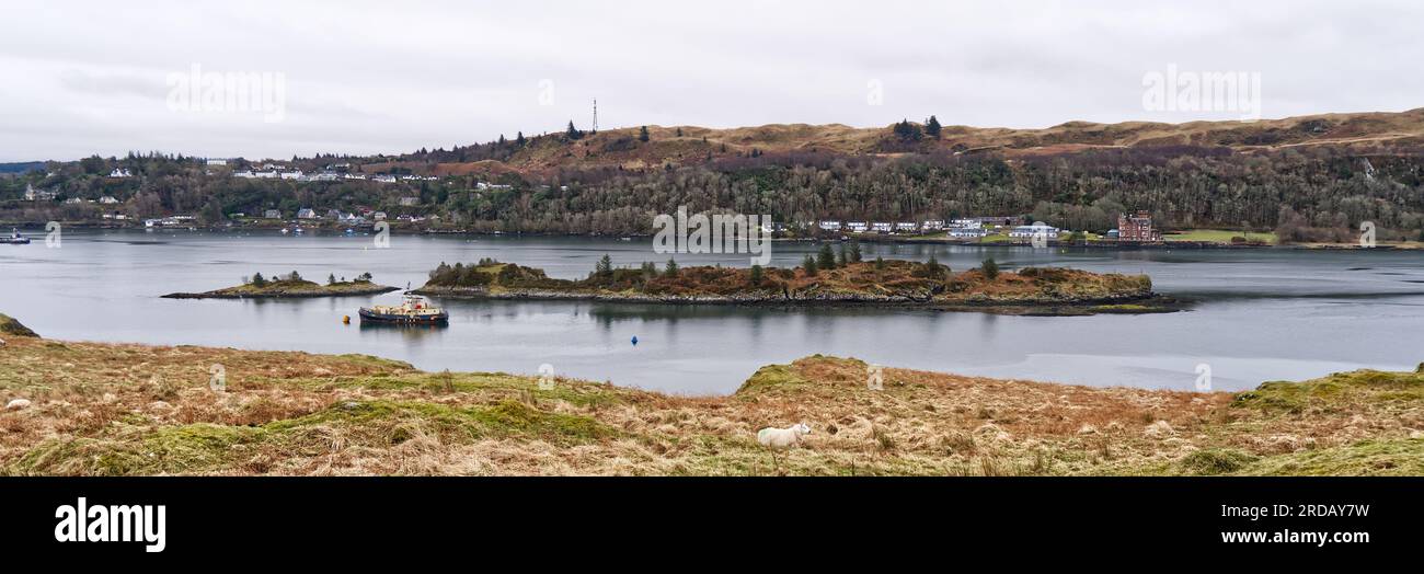 Heather Island, lying between Kerrera and Oban Stock Photo - Alamy
