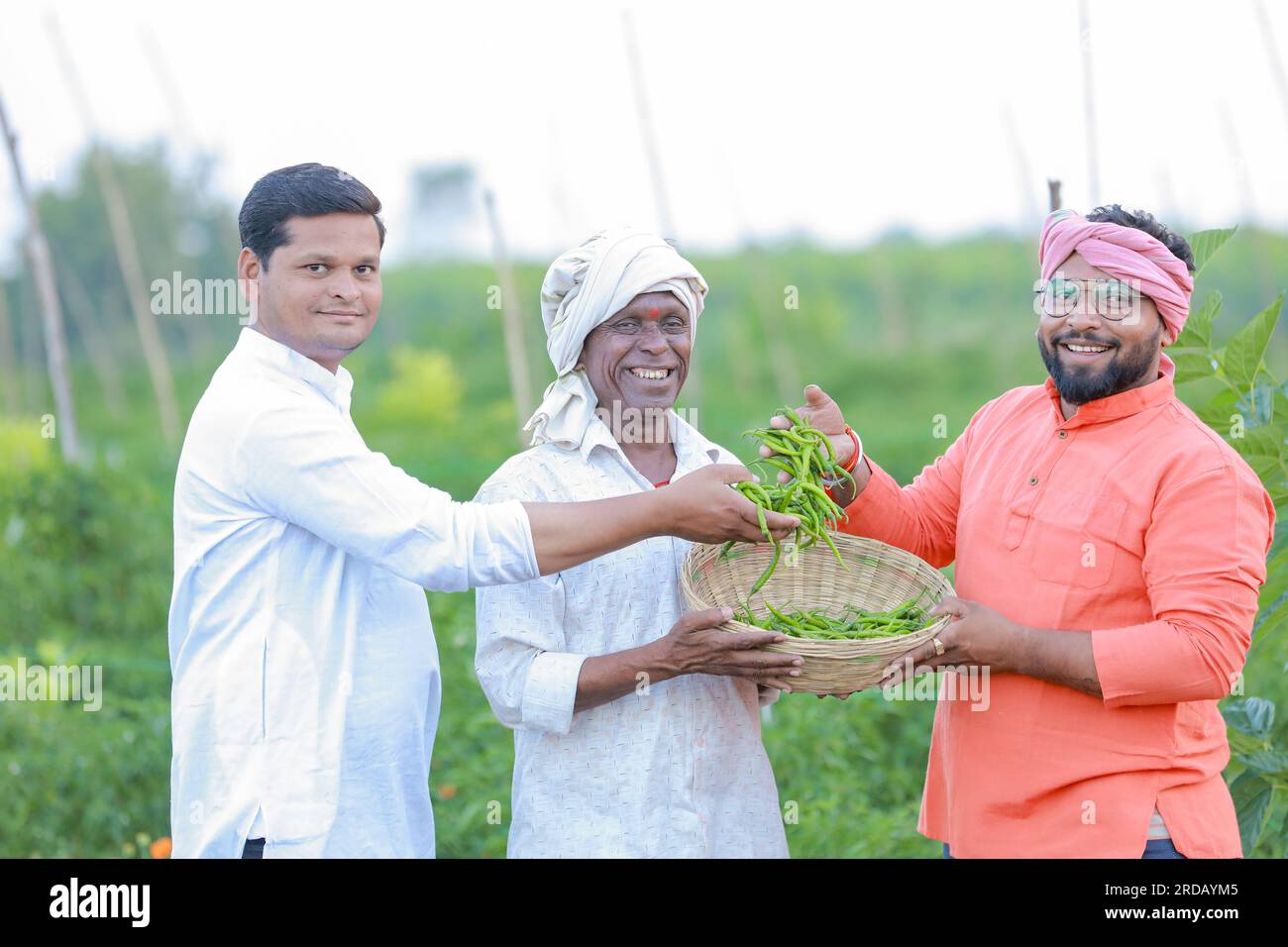 Farmer showing green chilli basket , happy farming , harvesting green ...