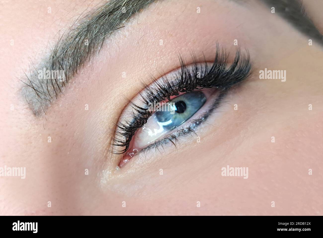 Close up of eye with eyelash extensions ,beauty salon treatment Stock ...