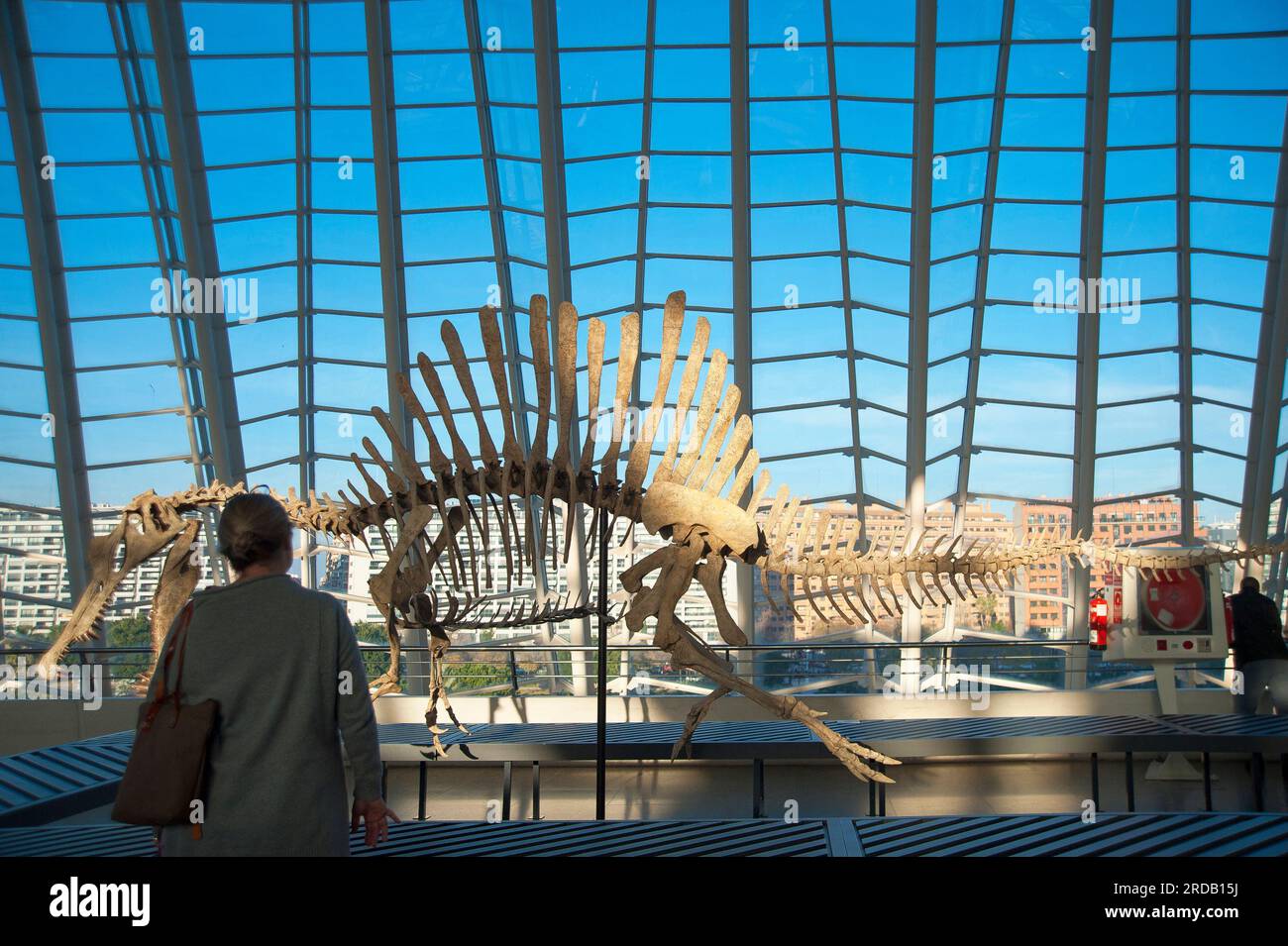 The science museum valencia interior hi-res stock photography and ...