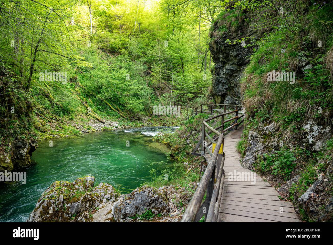 the vintgar gorge in Solvenia, a nature park with waterfalls and green ...