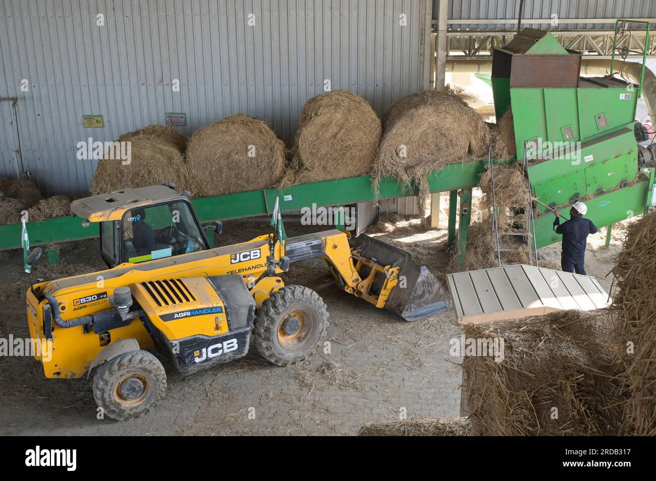 INDIA, Punjab, Lehragaga, Verbio biogas plant process paddy straw to ...