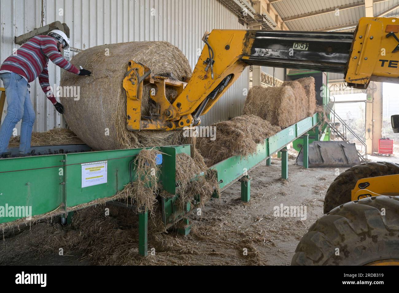 INDIA, Punjab, Lehragaga, Verbio biogas plant process paddy straw to ...
